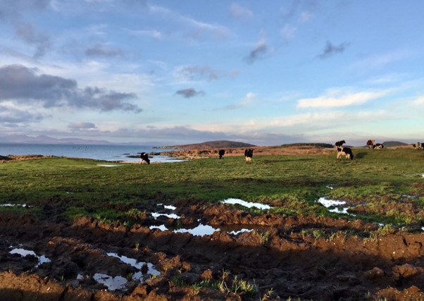 The Dos and Don'ts of Navigating Climate Change Research with Livestock ...